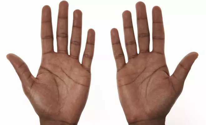 Il significato delle linee della mano