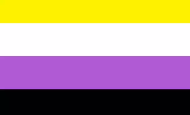 To je zastava nebinarnega spola