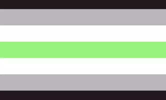 How is the flag that represents agender people?