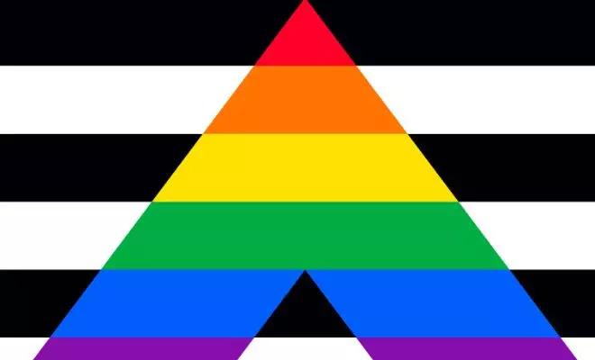 LGBTIQA+ એલી હેટરો ધ્વજ