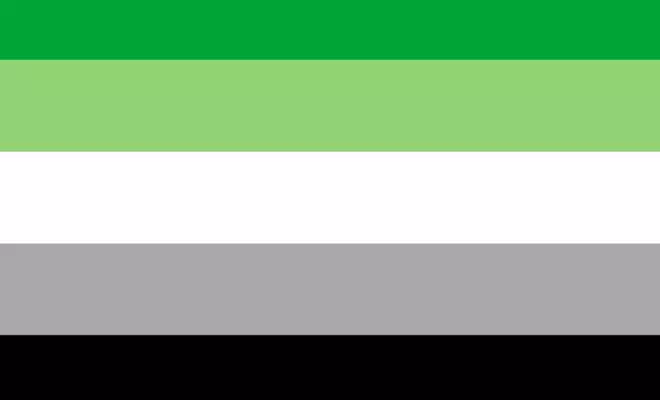 How is the flag that represents aromantic people