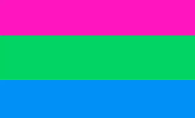 How is the flag that represents the polysexual reality