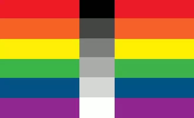 Hoe is de homoflexibele vlag?