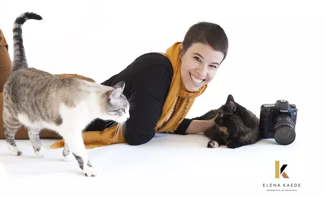 Fotografiați-vă pisica: cele mai bune locuri pentru a face fotografii cu animalul dvs. de companie