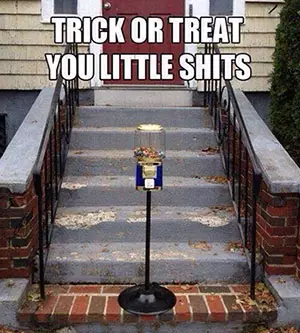 The solution for cat hatred on Halloween