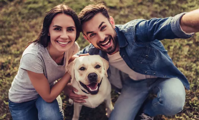 Julukan ini sangat cocok untuk anjing Anda