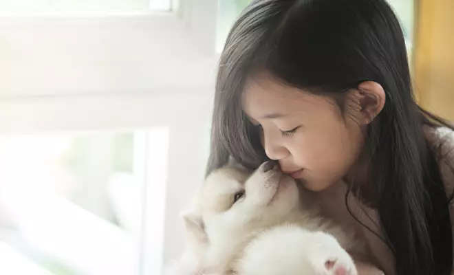 あなたの新しい子犬のための最高の犬の名前