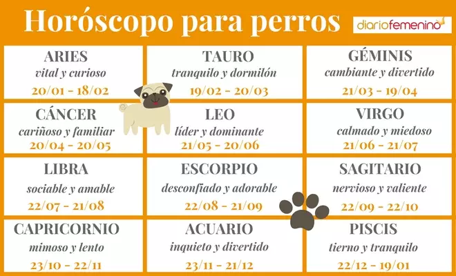 Ո՞րն է ձեր շան կենդանակերպն ըստ հորոսկոպի