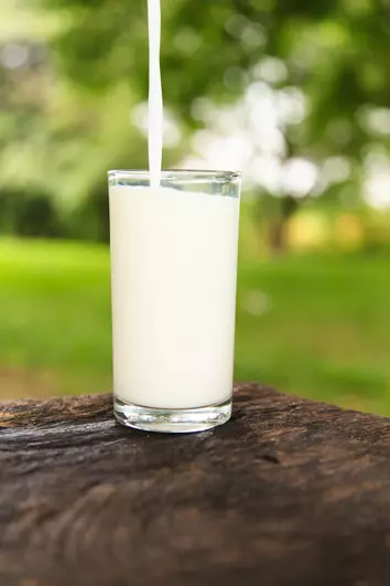 הקשר בין מוצרי חלב לפרקינסון