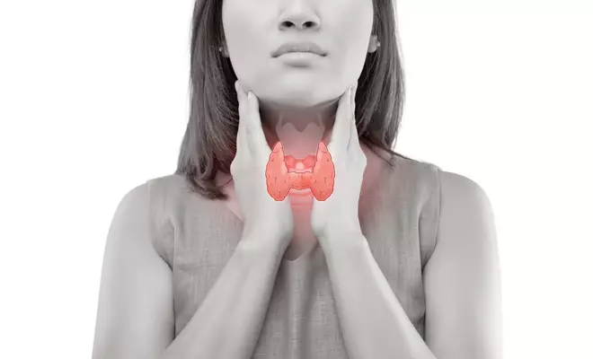 Hipotiroidismo: Tiroida glando