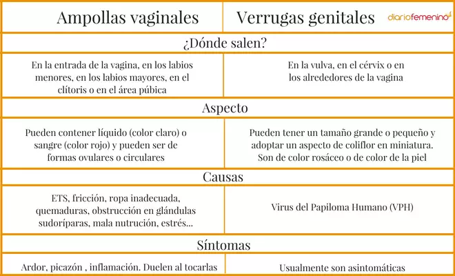 Ampolles vaginals vs Berrugues genitals. Què les diferencia?