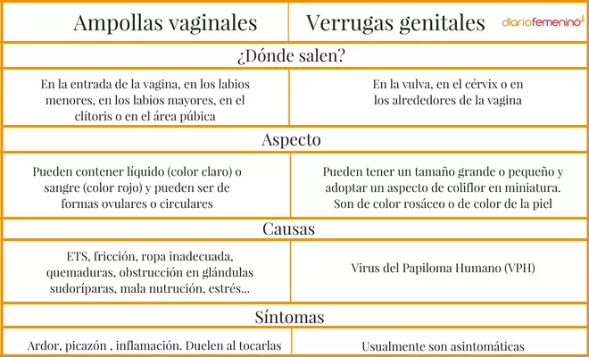 Likokoana-hloko tsa botšehali vs li-warts tsa genital. Li khetholloa ke eng?