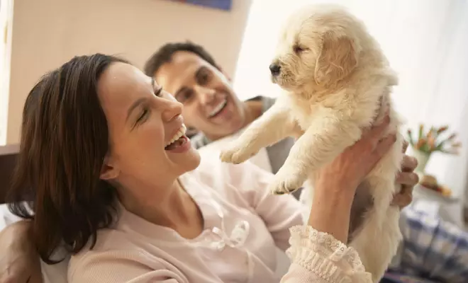 L'importance de l'intelligence émotionnelle dans la famille