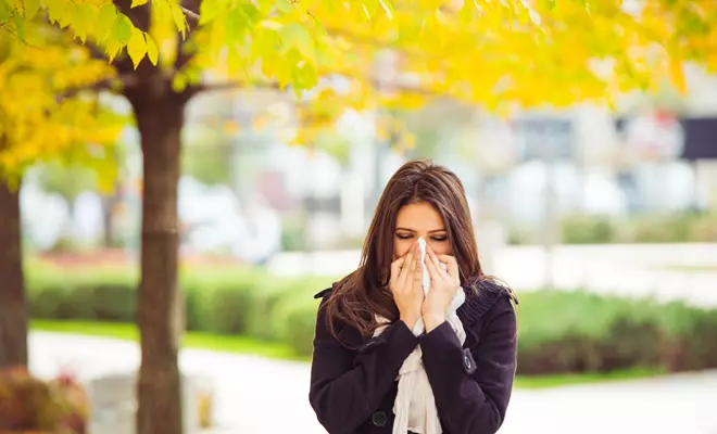 Simptomoj de alergio kaj malvarmo