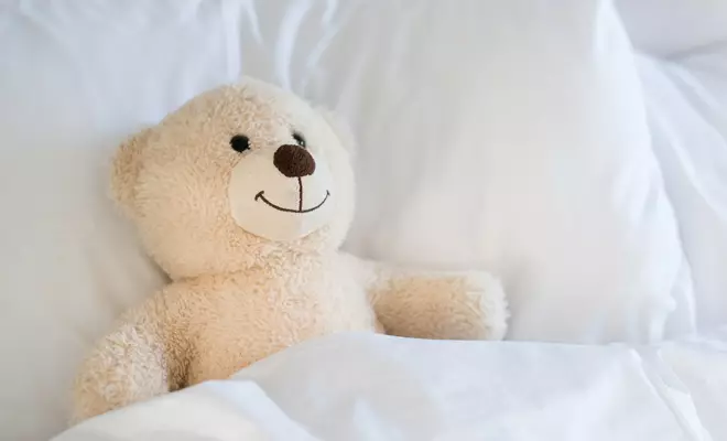 夢見泰迪熊是什麼意思？