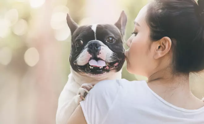 Dierenverzorging in de hitte