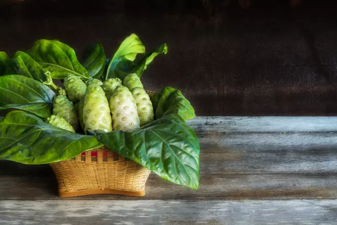 Noni for better sleep and other benefits