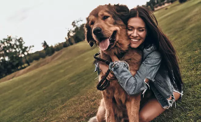 Qual é o seu cão ideal de acordo com o seu signo do zodíaco? O horóscopo revela isso para você!