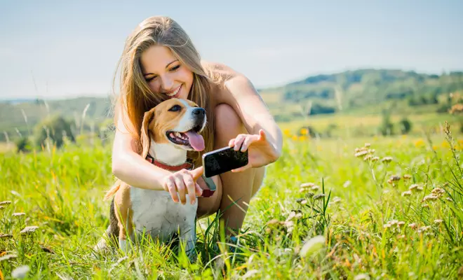 Anjing dan pemilik terbaik menurut horoskop