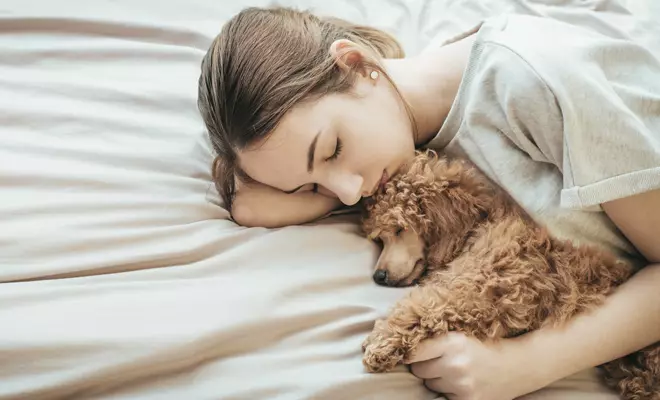 Come dare un nome al tuo cucciolo di barboncino