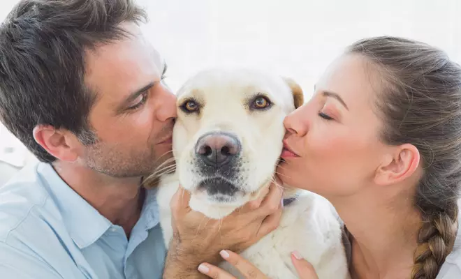 ペットにキスするのは危険かどうか教えてくれます