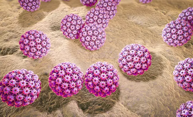 Vad är humant papillomvirus