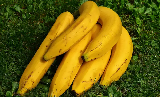 La banano en la dieto havi pli da energio