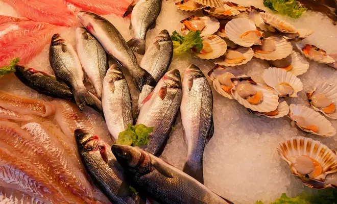 魚はあなたにエネルギーを与えます