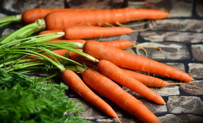 Як морква допомагає бути більш родючим