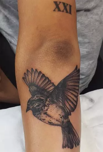 Libertatea păsărilor în tatuaje