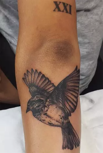 Kebebasan burung dalam tato