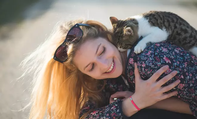 Meriv çawa ji pisîka xwe re bêje ku hûn jê hez dikin