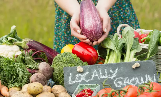 Der Slow-Food-Vorschlag