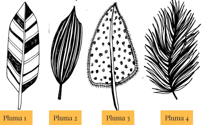 The Feather Test : Découvrez comment les autres vous voient