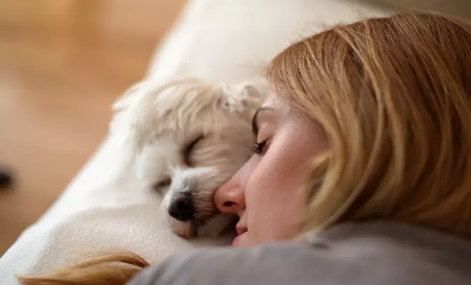 Les différentes significations de rêver d'animaux