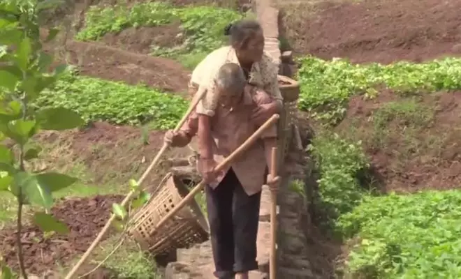 ለመትረፍ አንዳቸው ለሌላው የሚያስፈልጋቸው ባለትዳሮች ስሜታዊ የፍቅር ታሪክ