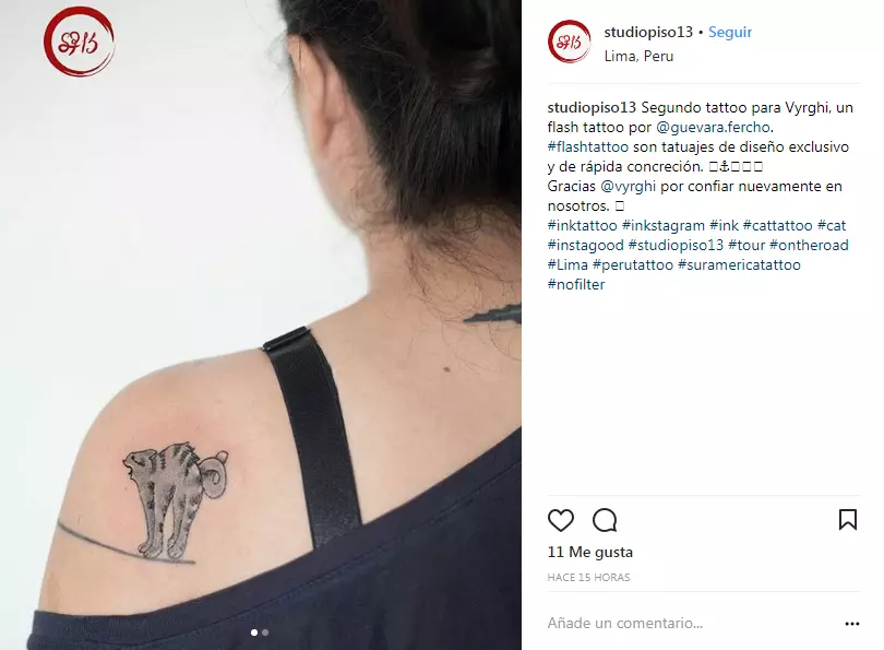 Iwo anonakidza katsi tattoos pa Instagram 12659_9