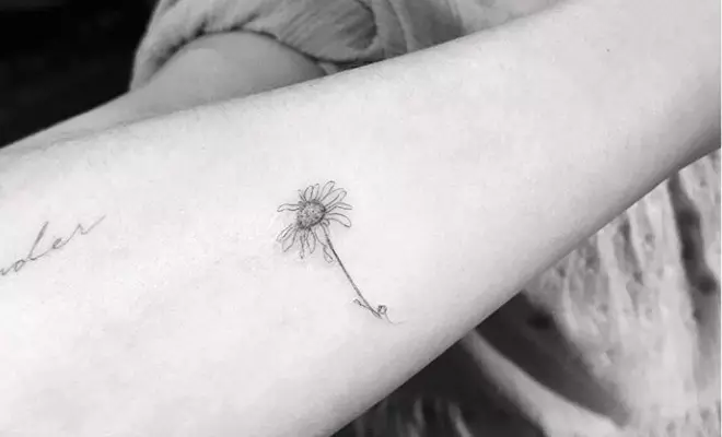 Dakota Johnson's Mysterious Tattoos