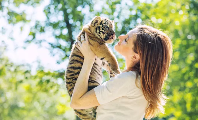 Ovo je zaljubljena žena Tigar