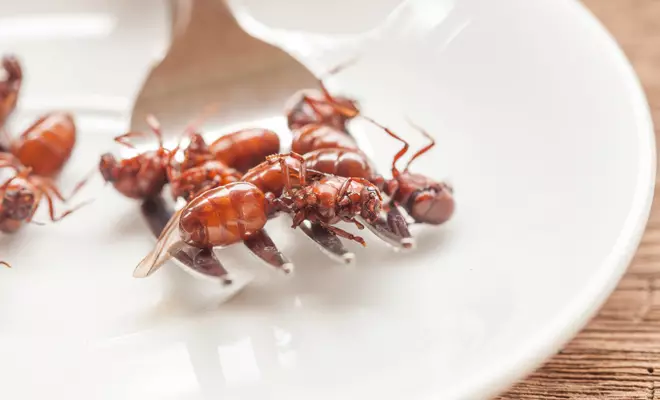 Dreaming that you eat ants: do you dare with everything?