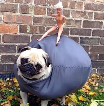 این سگ اصلی ترین لباس هالووین را دارد.