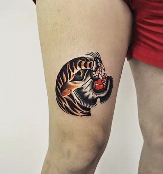 tiger