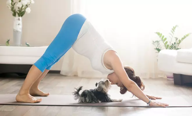 Dekouvri dog, yoga pou chen