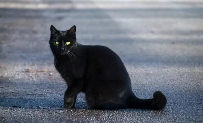 10 Things Only Superstitious People Will Understand