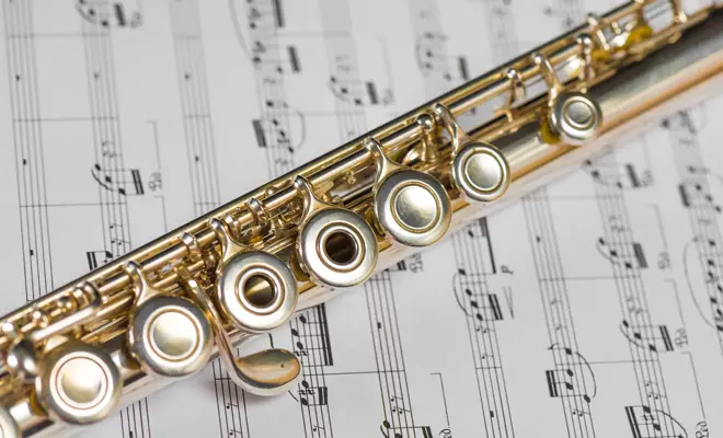 Ką reiškia sapnuoti fleitą