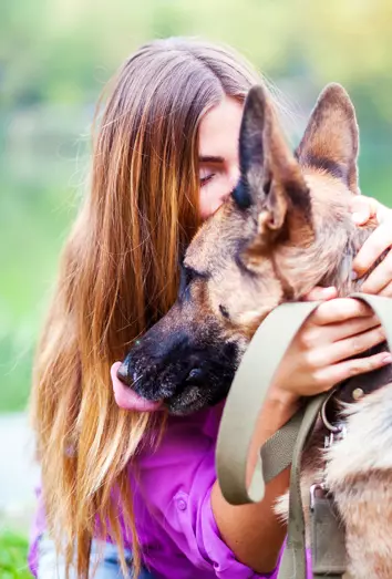 Os cães mais carinhosos