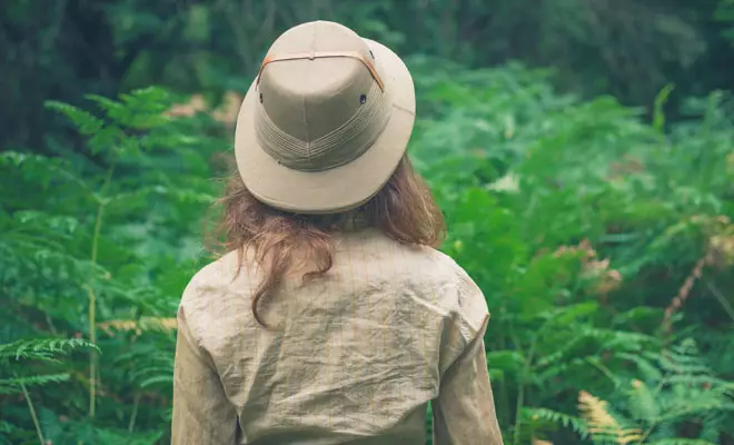 Maksud mimpi tidur dalam hutan