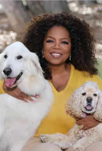 Celebrity Dogs: Oprah Winfrey's Spaniels and Goldens