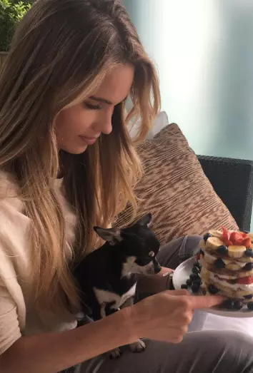 Ito ay Truffle, ang chihuahua ni Helen Svedin