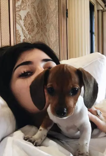 Awọn aja ti awọn ayẹyẹ: Penny, puppy tuntun ti Kylie Jenner